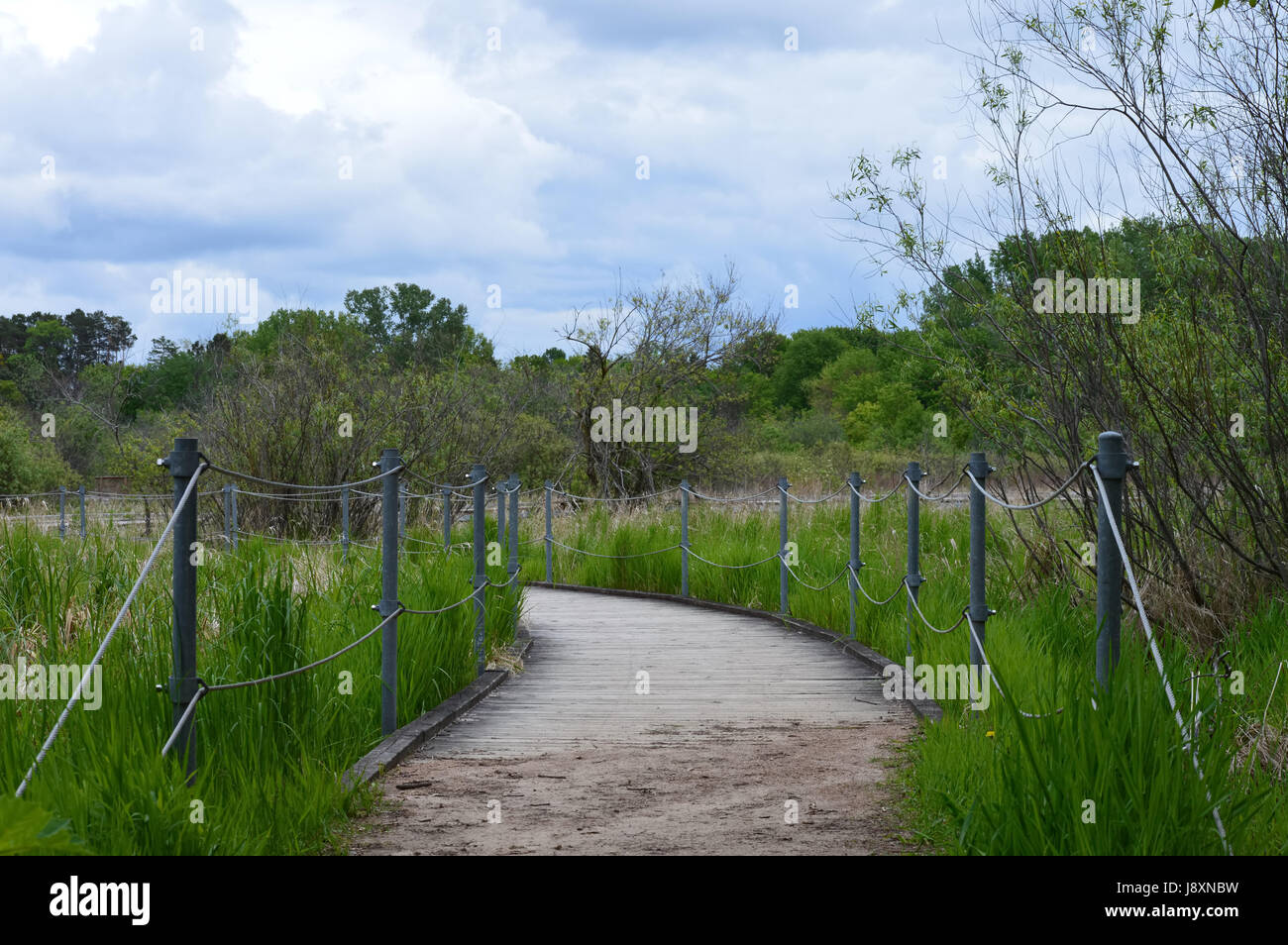Wetland texture hi-res stock photography and images - Alamy