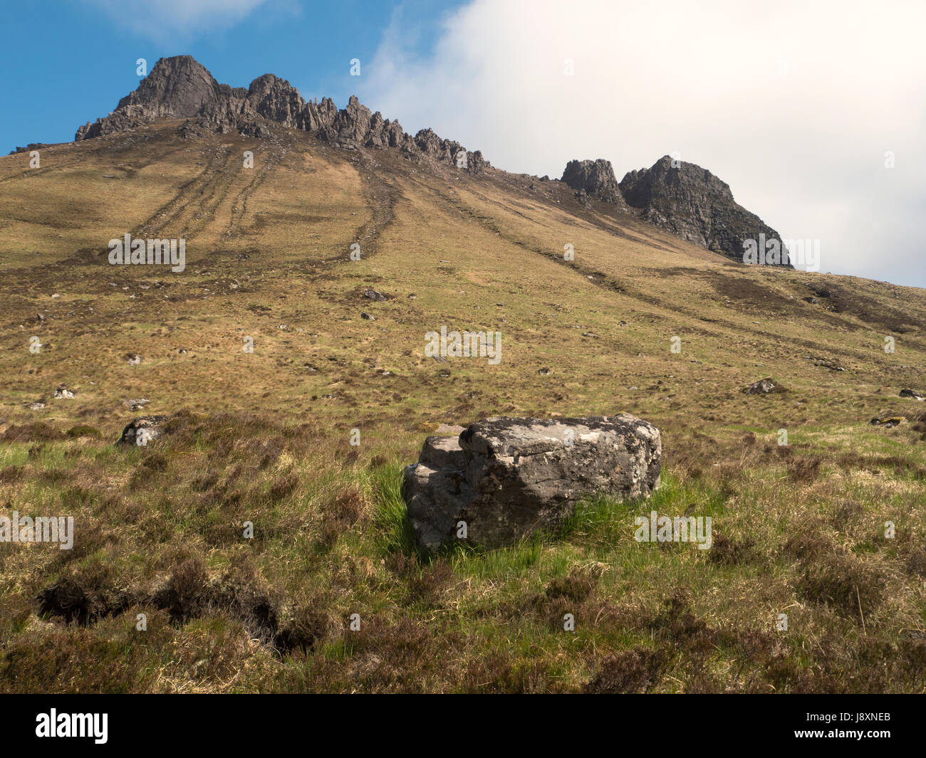Polly hill hi-res stock photography and images - Alamy