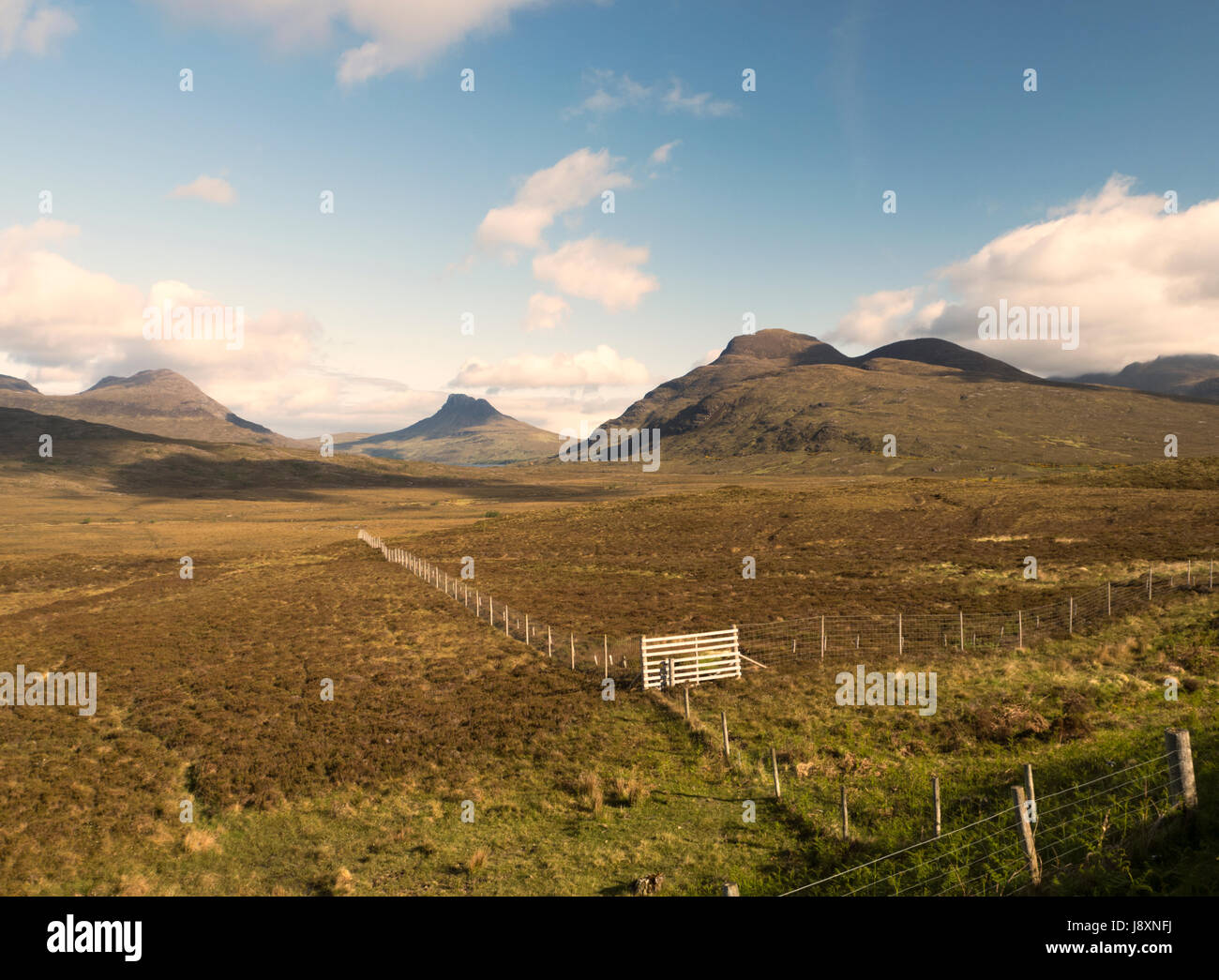 Stack polly hi-res stock photography and images - Alamy