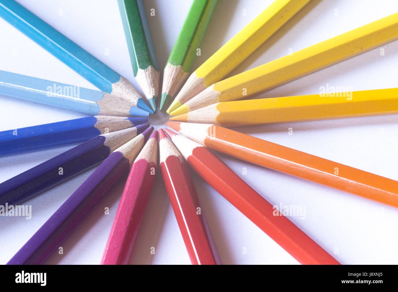 blue, colour, green, rainbow, wise, attentive, alert, friendly ...