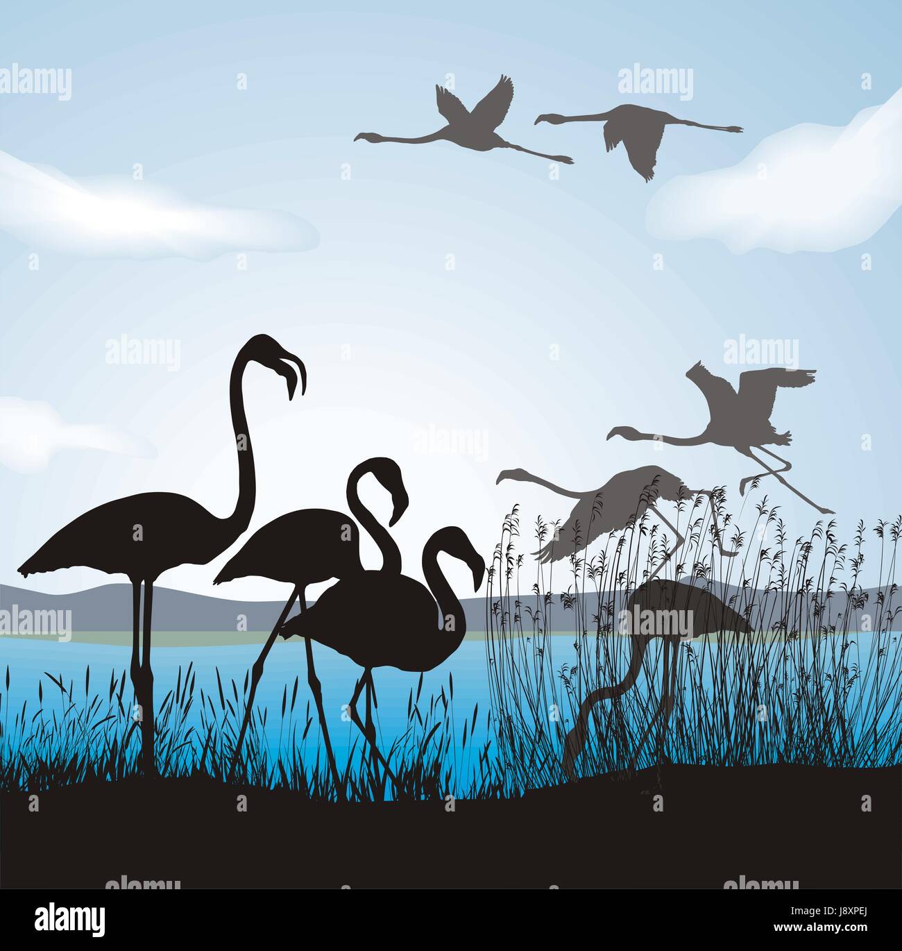 graphic, black, swarthy, jetblack, deep black, birds, formation, cane ...
