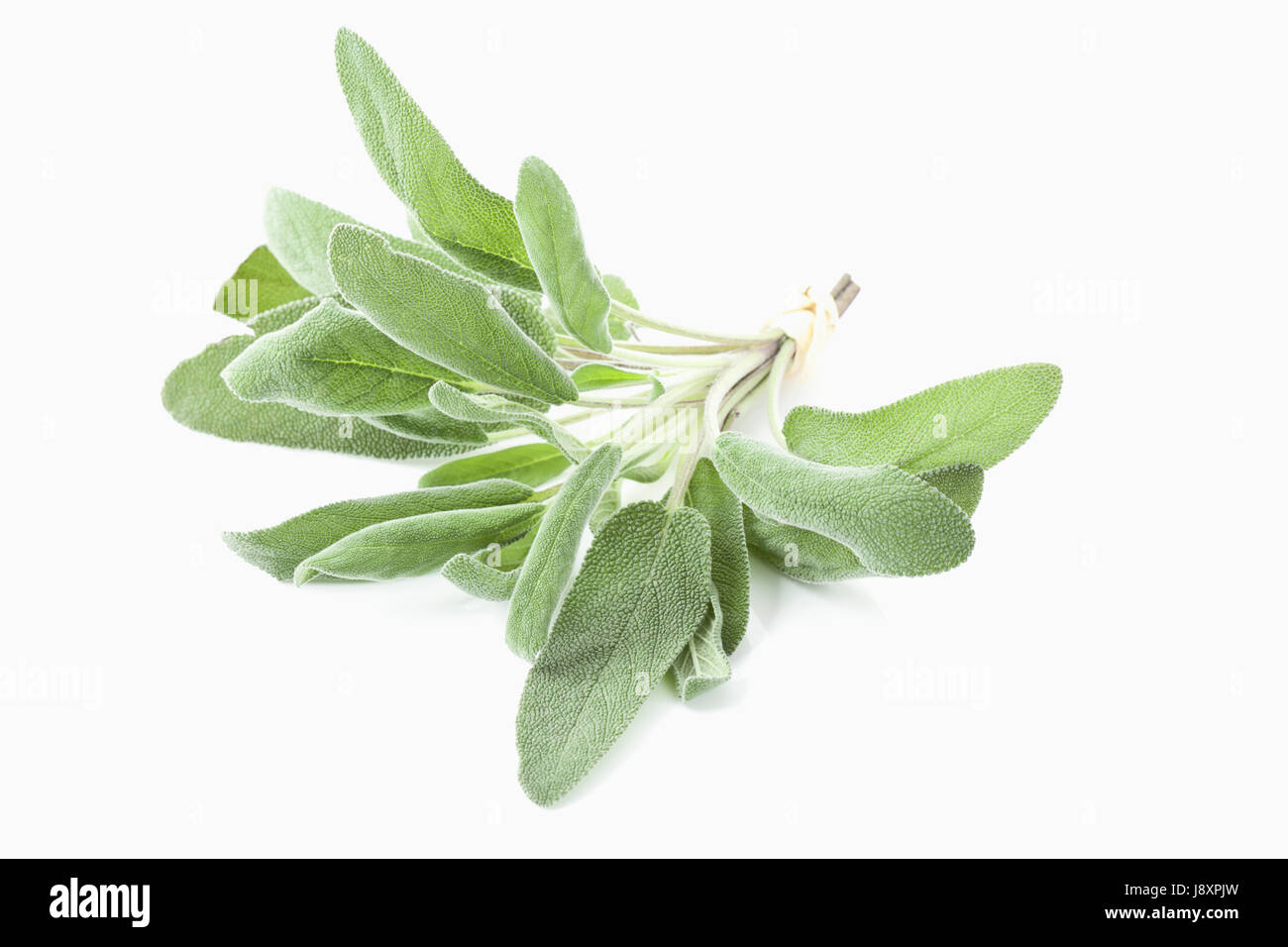 spice, bound, tied, sage, league, fresh, spice, kitchen, cuisine, boil ...