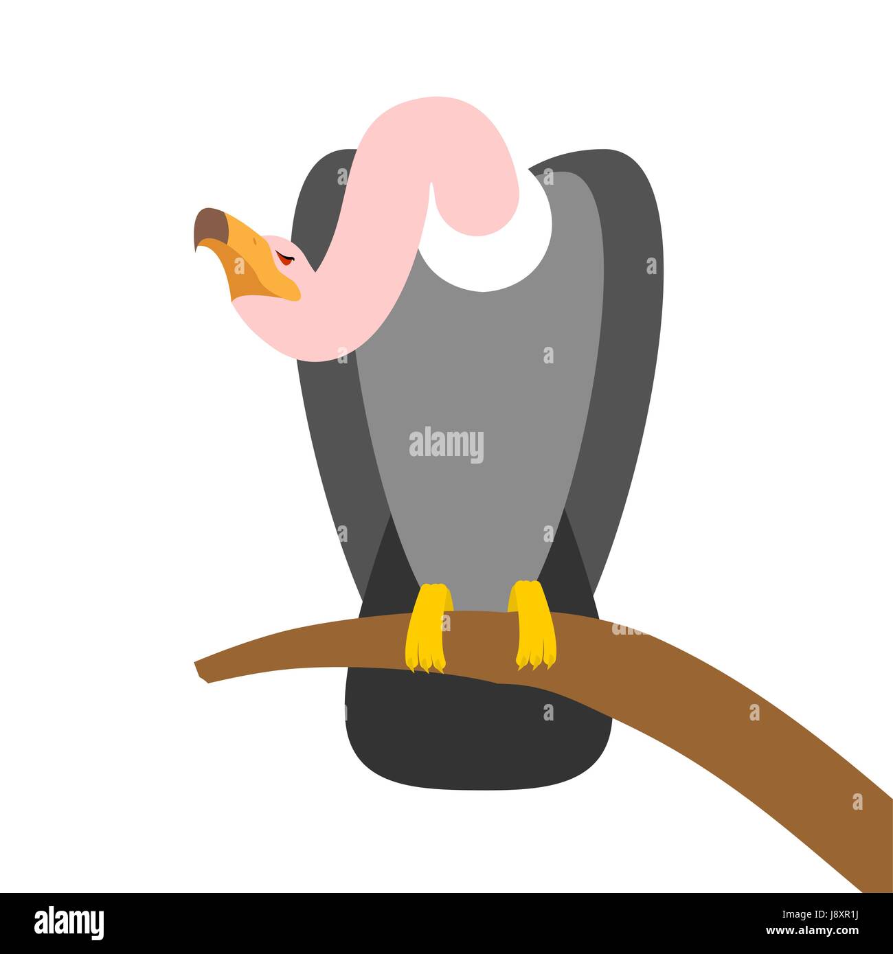 Predatory Birds Clip Art