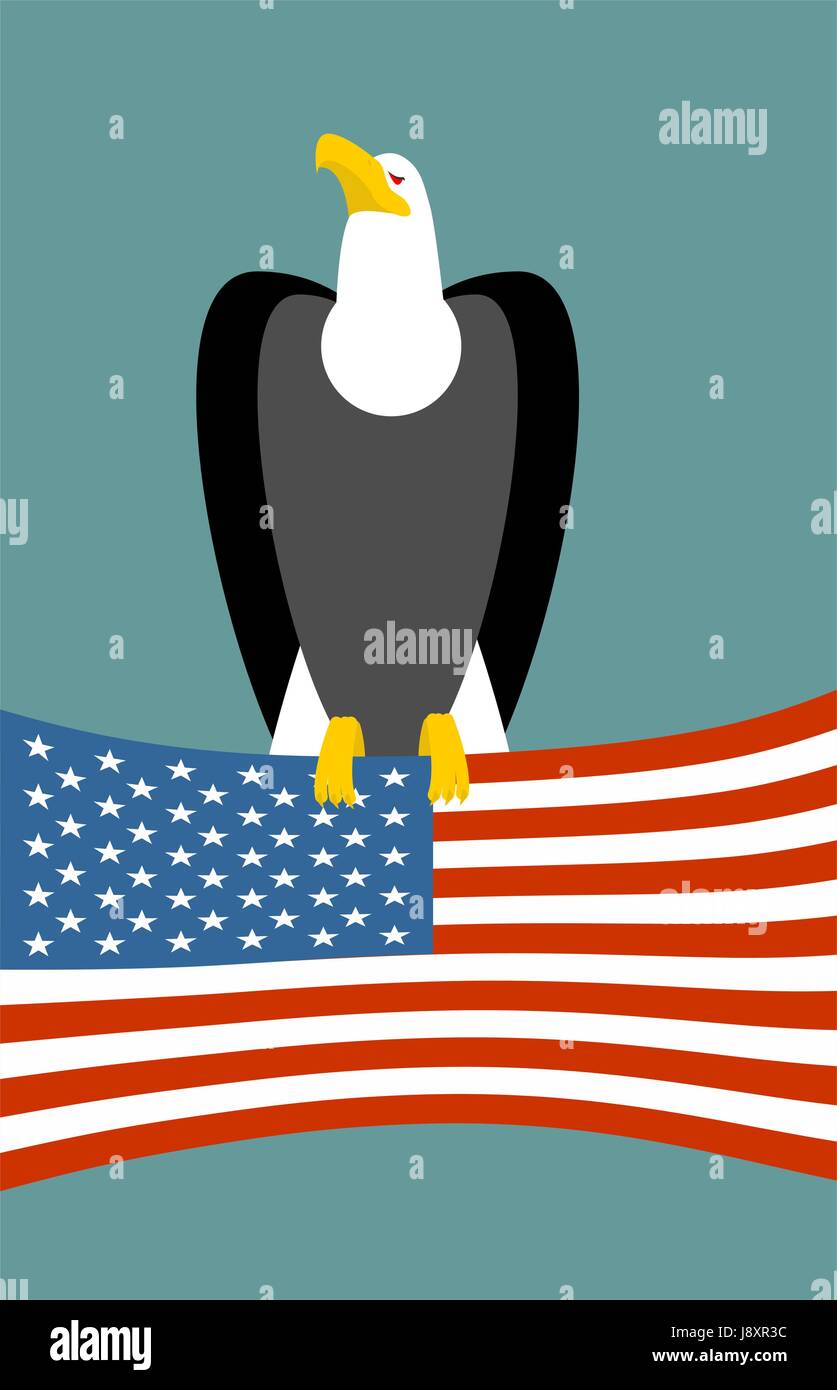 Bald eagle and American flag. USA national symbol of bird. Large birds ...