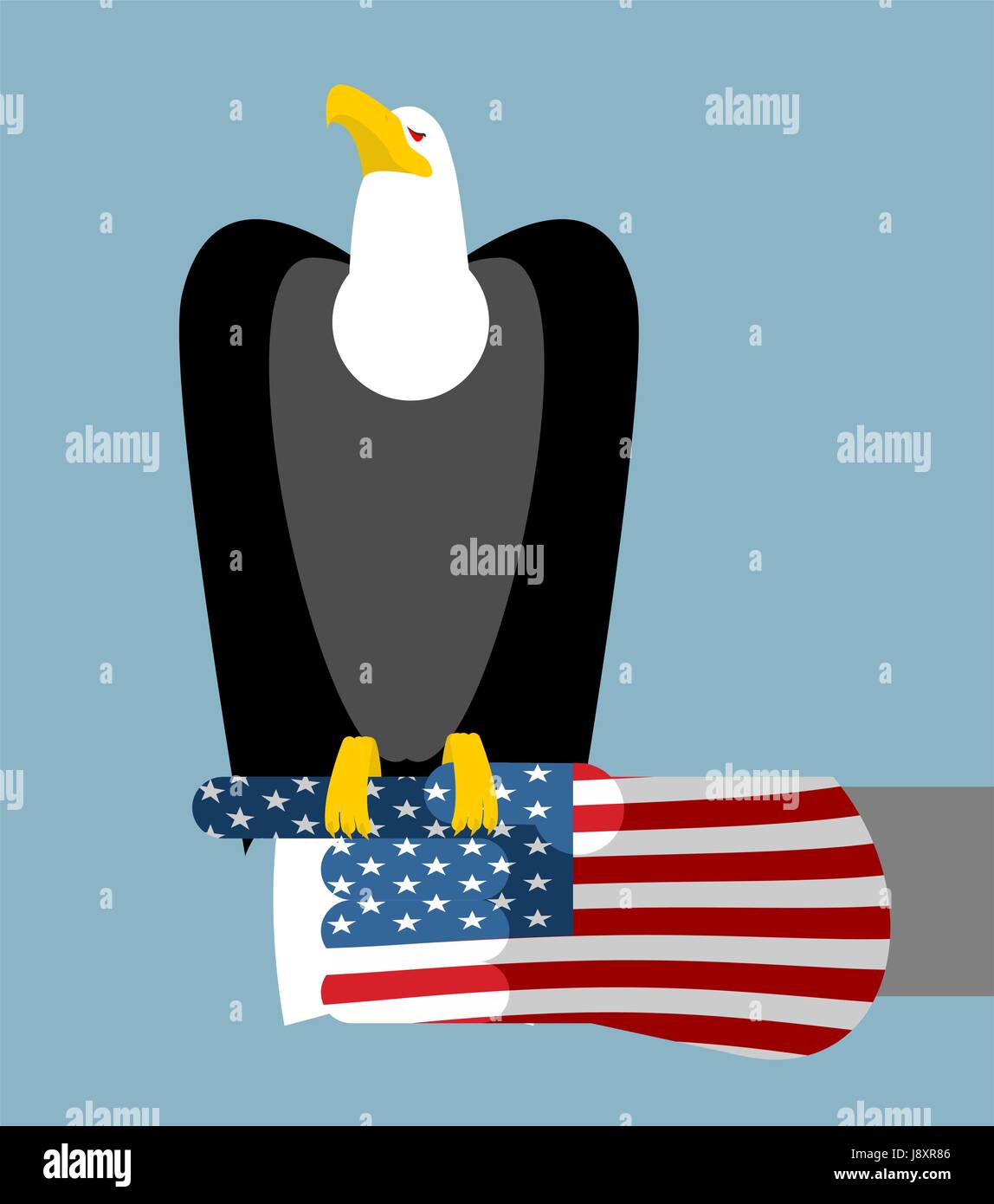 American patriotic eagle hunting. Bald eagle sitting on glove of USA ...