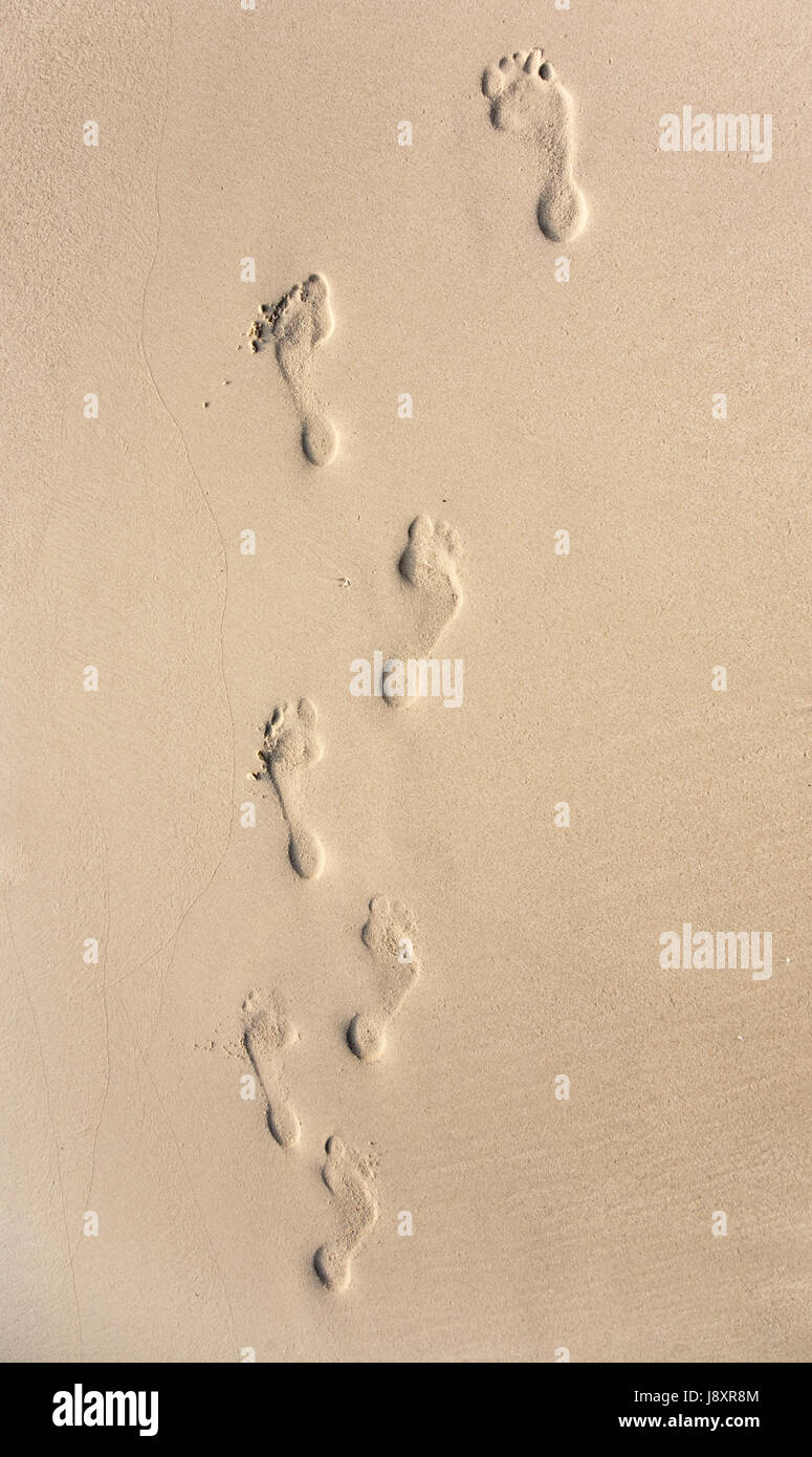 strand, sands, sand, asia, human, human being, beach, seaside, the ...
