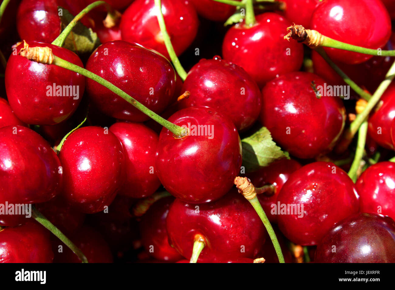 Cherry texture hi-res stock photography and images - Alamy