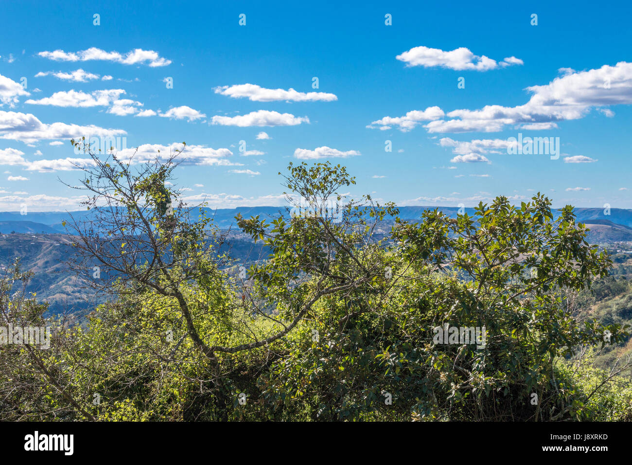 Above view overlooking natural vegetation and The Valley of A thousand ...