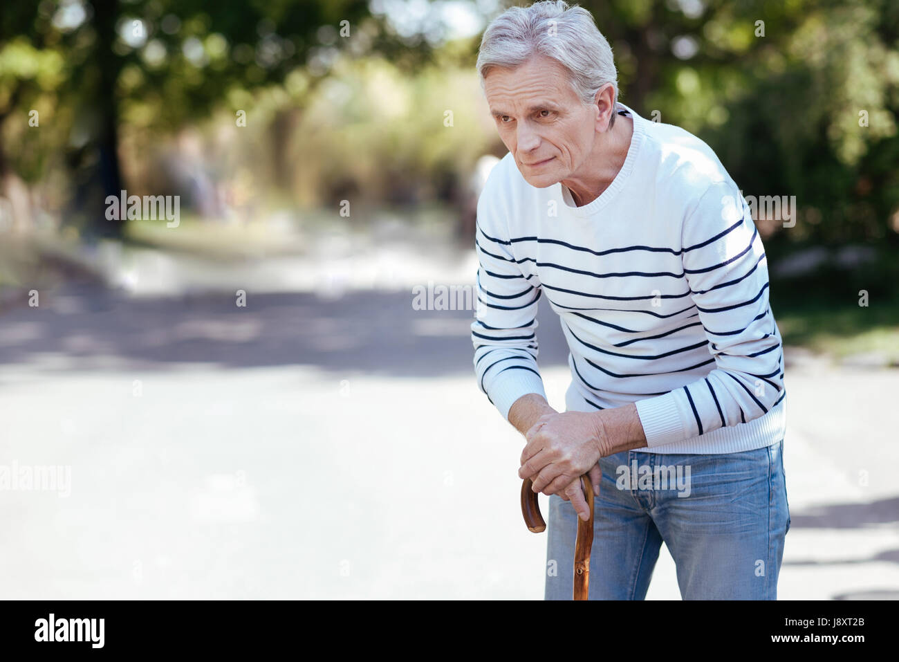Sophisticated old man enjoying spring in the park Stock Photo - Alamy