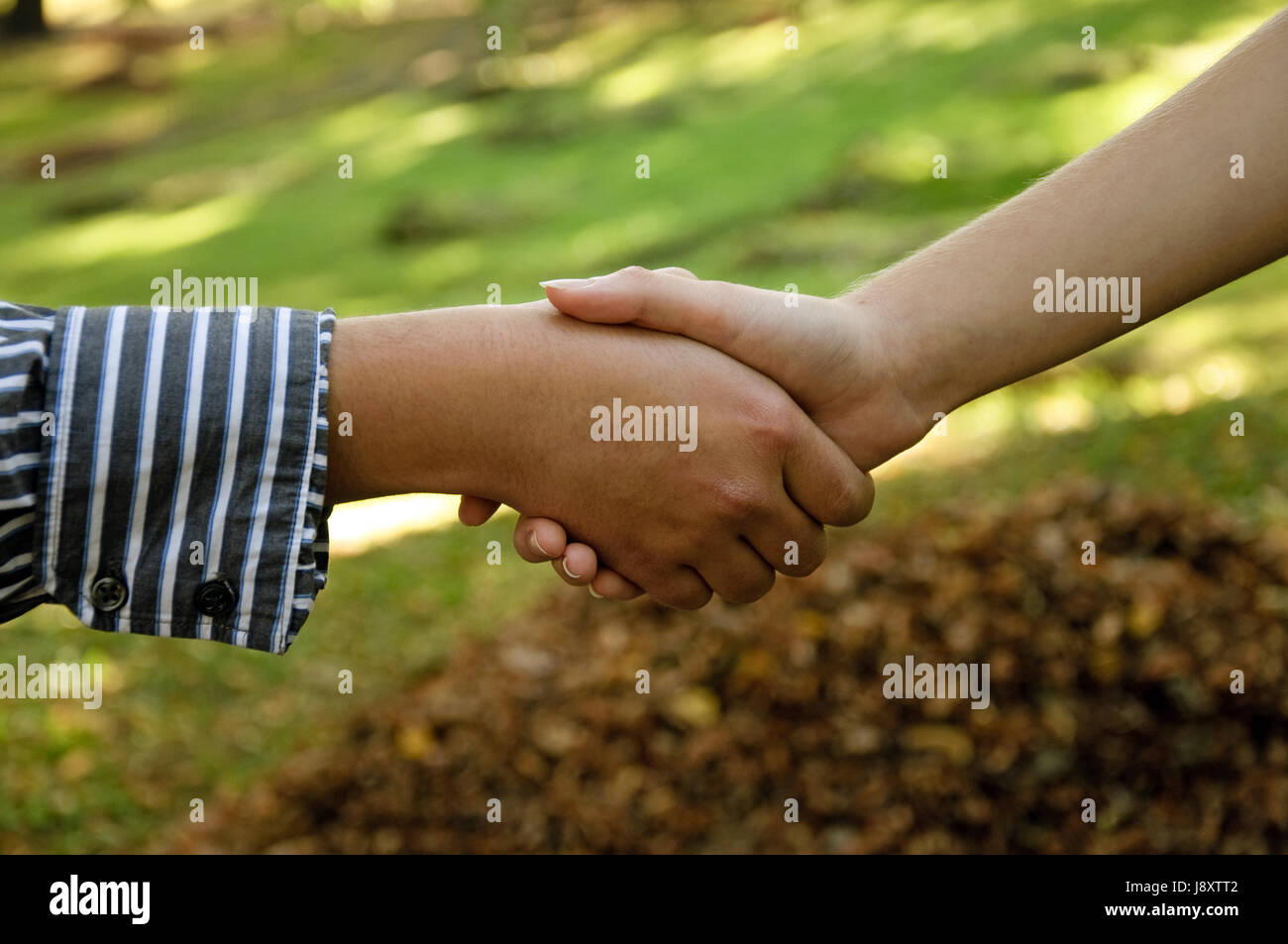 gesture, friendship, greeting, park, green, outside, peaceful, delicate ...
