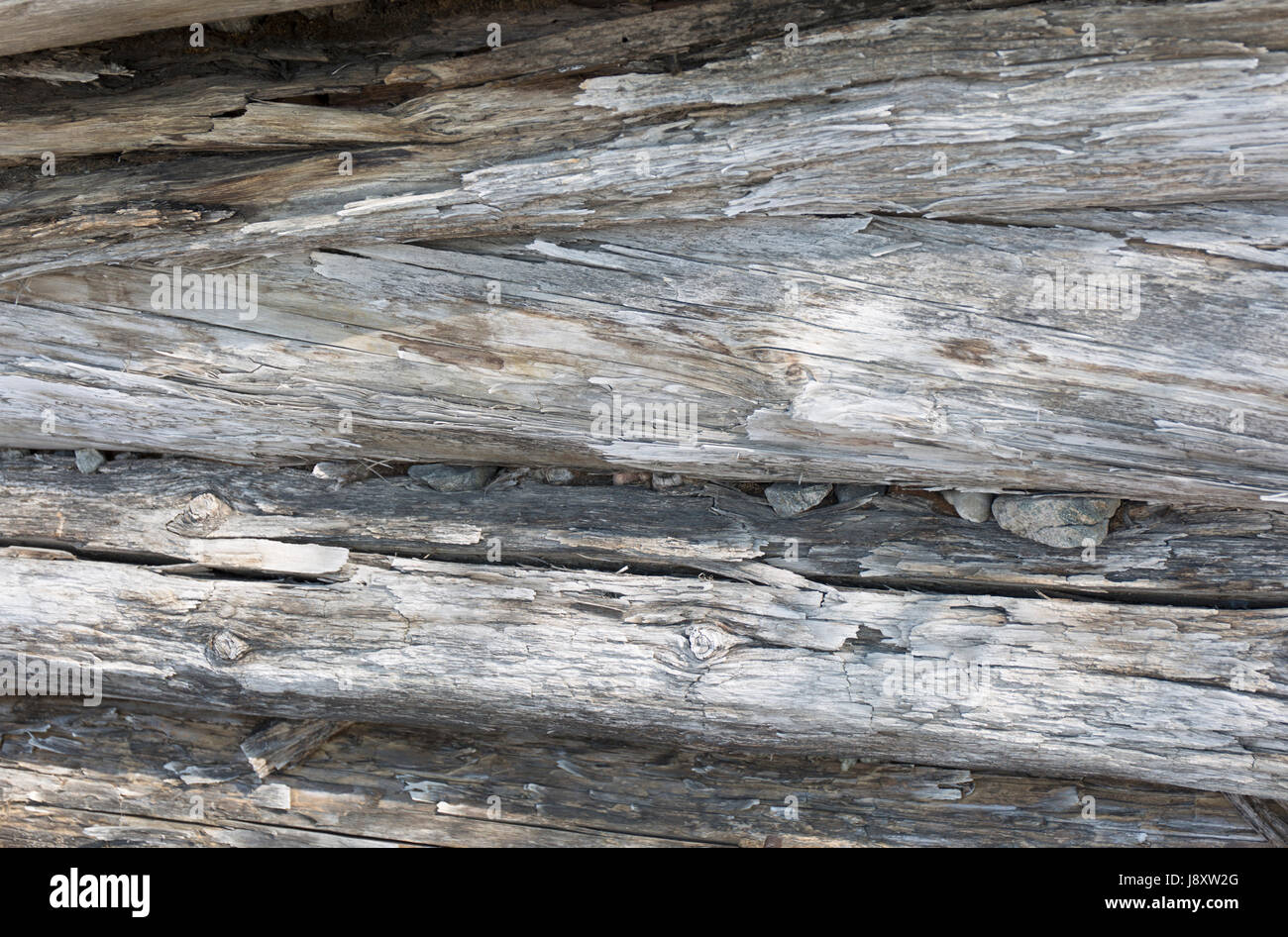 Wooden surface eroded by water. Old wood gray background Stock Photo ...