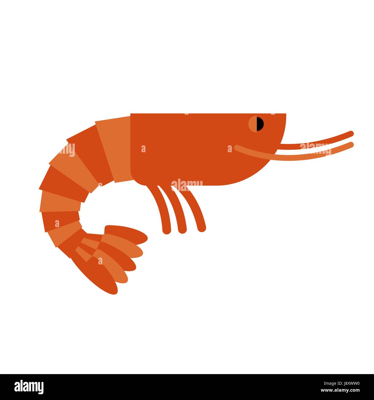 Shrimp. Marine cancroid. Boiled shrimp delicacy. Cooked Orange shrimp ...