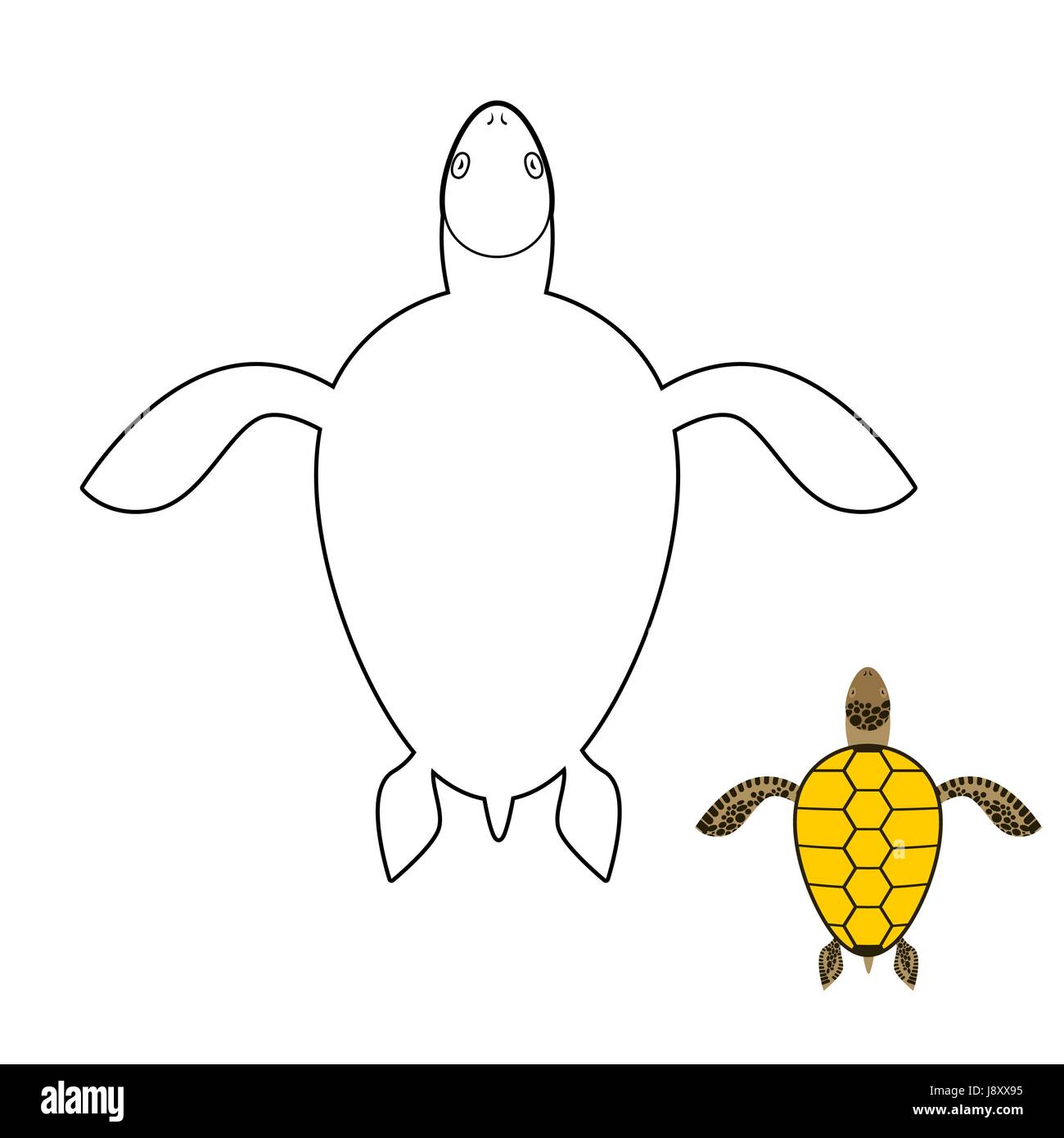 Tortuga Para Colorear