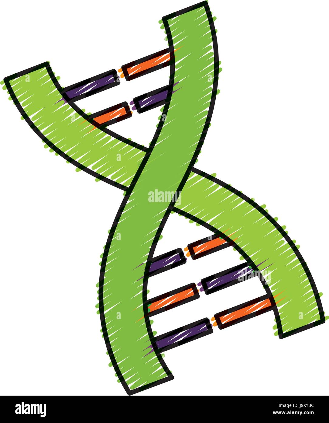 dna chain icon Stock Vector Image & Art - Alamy