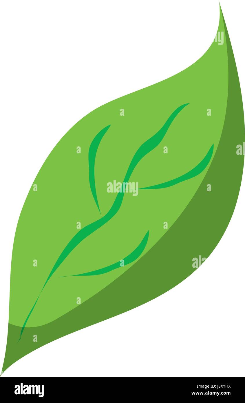 leaf icon image Stock Vector Image & Art - Alamy