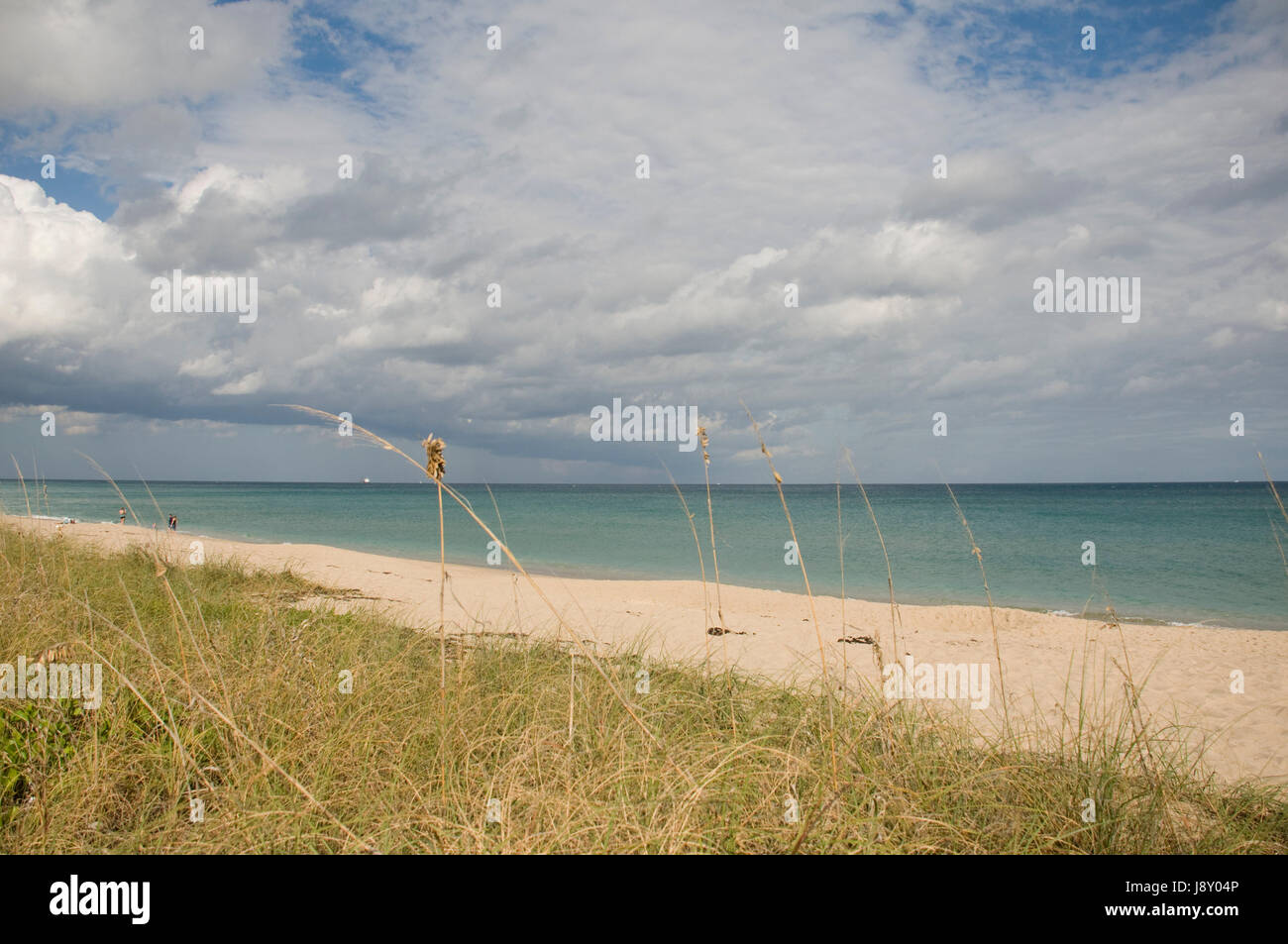 beach, seaside, the beach, seashore, landscape, scenery, countryside ...