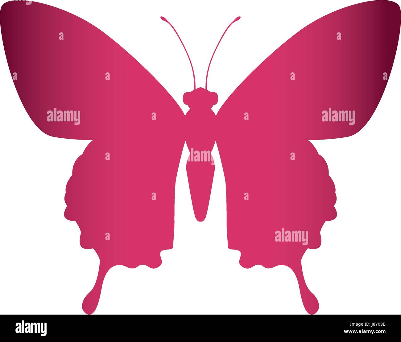 Beautiful Butterfly Silhouette Stock Vector Image And Art Alamy