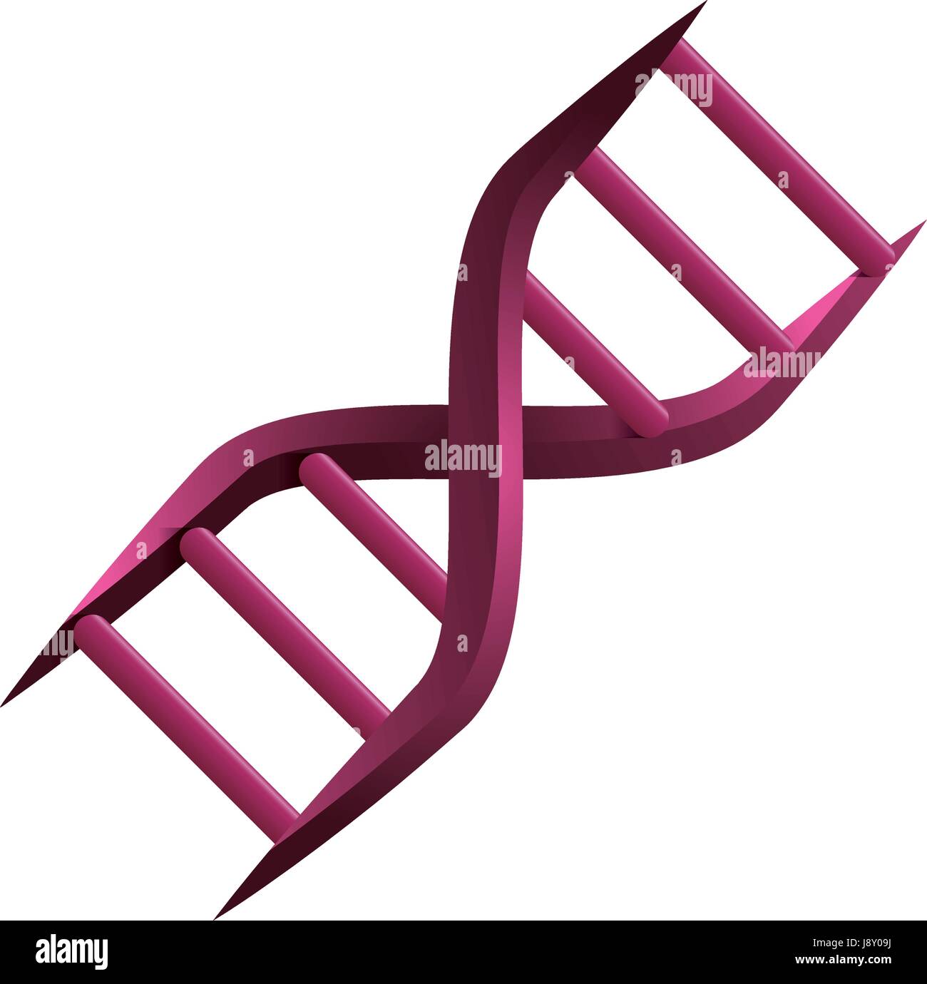 DNA human symbol Stock Vector Image & Art - Alamy