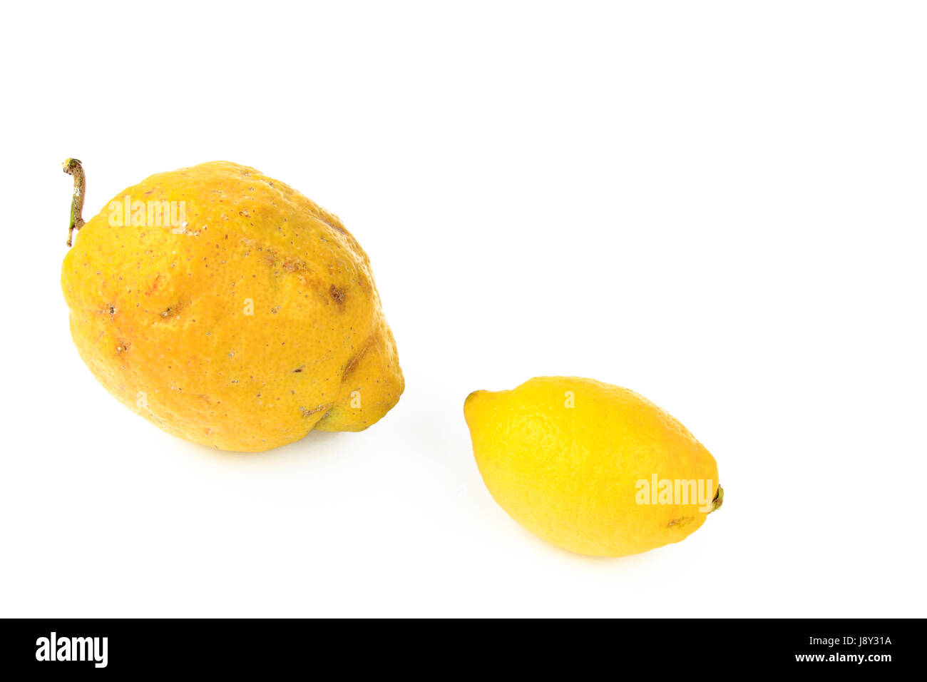 ripe, citrous fruit, decorative, lemon, citron, candied lemon peel ...