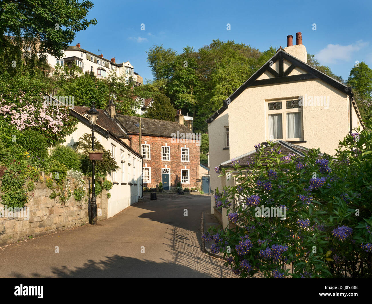 Houses in the Nidd Gorge from Waterside on a Sunny Evening at ...
