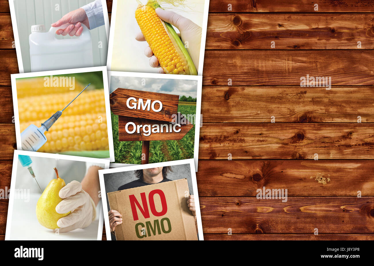 Genetic modification, science and technology in agriculture, photo ...