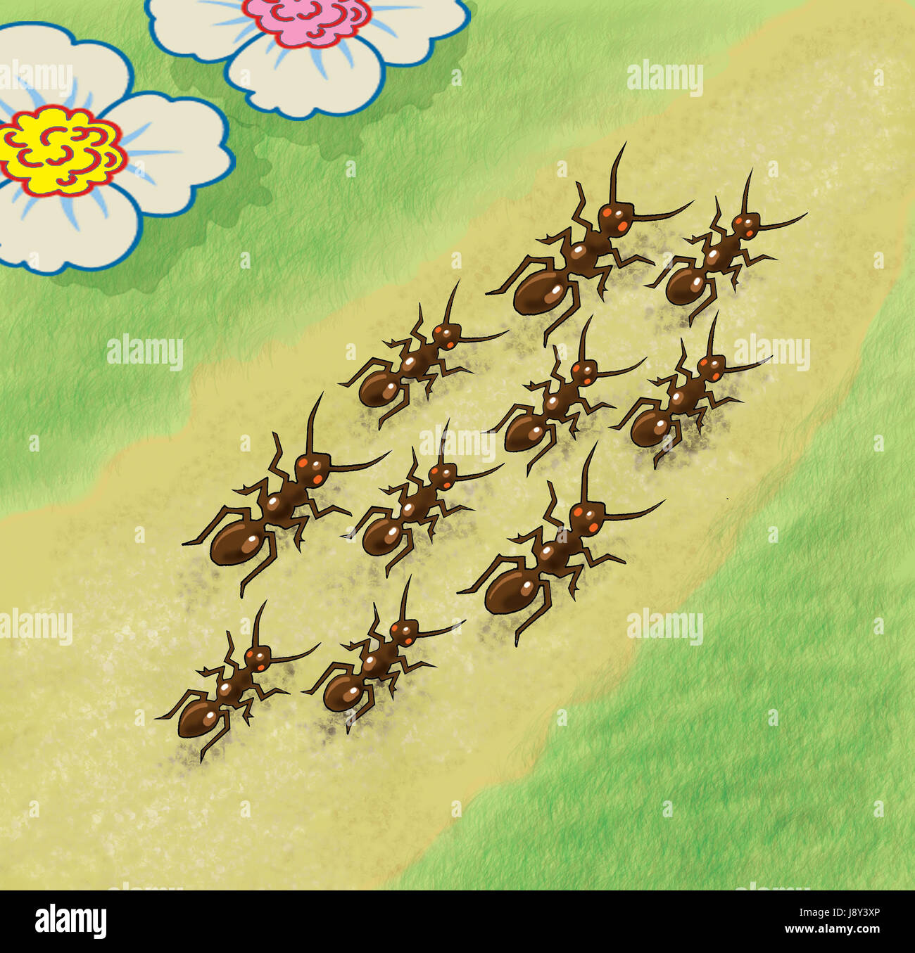 Ant colony illustration hi-res stock photography and images - Alamy