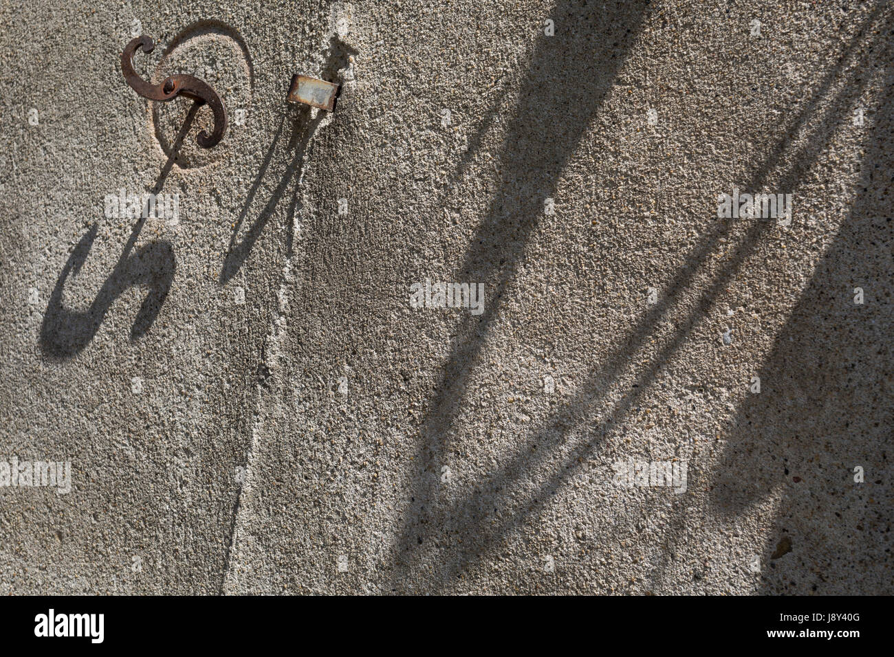 All Forms Of S Shadow