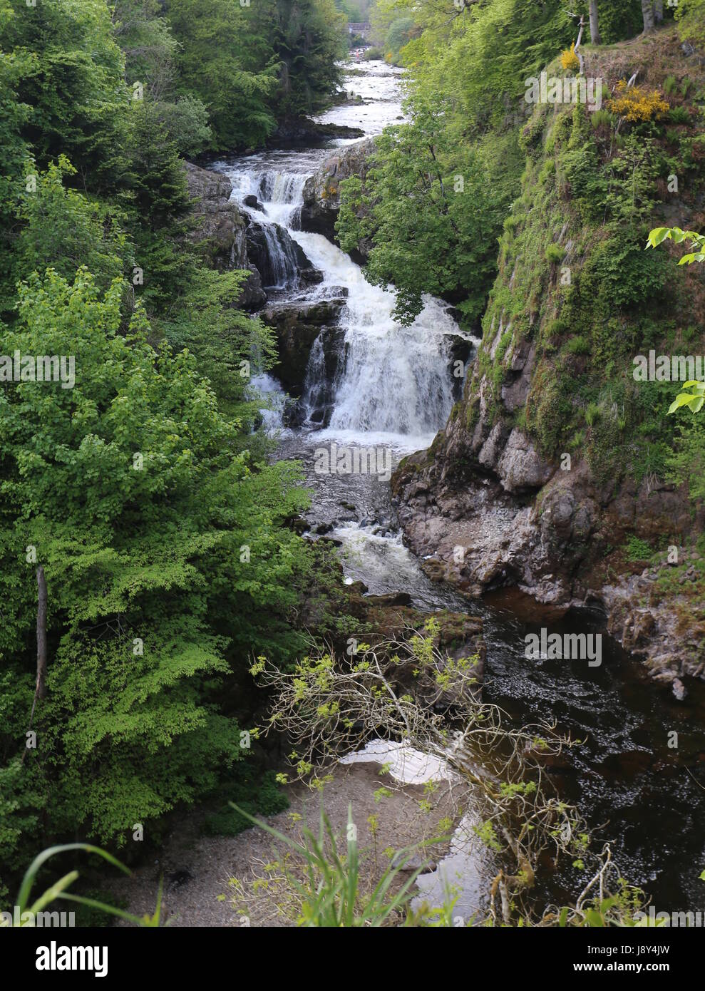 Reekie linn waterfall scotland hi-res stock photography and images - Alamy
