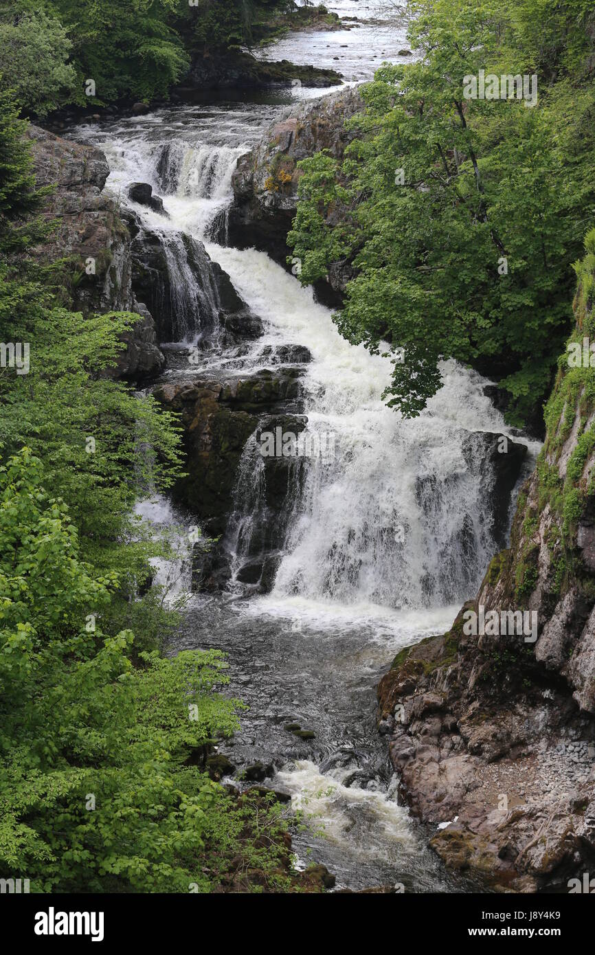 Reekie linn waterfall scotland hi-res stock photography and images - Alamy