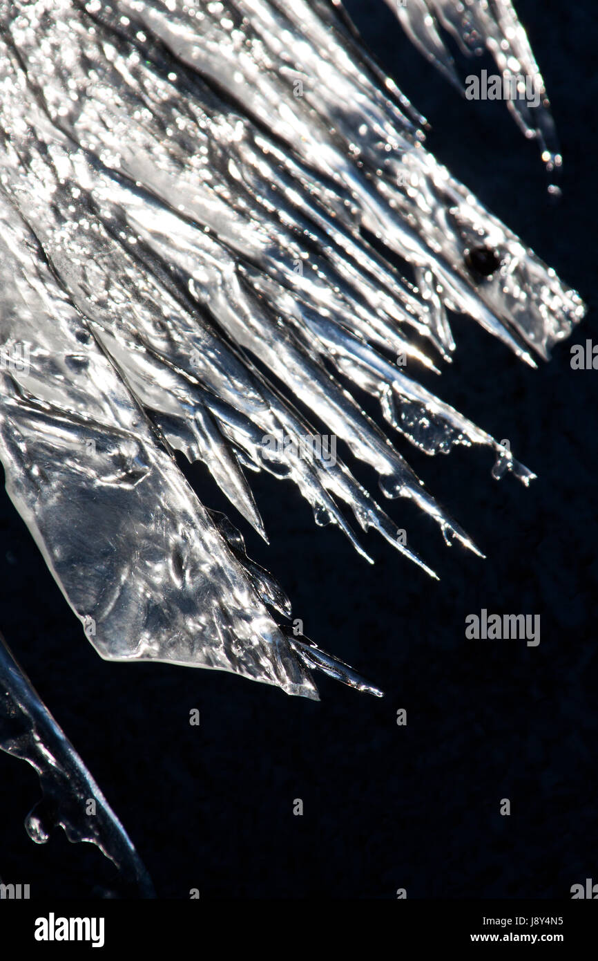 blue, winter, cold, blank, european, caucasian, ice, frozen, smooth ...