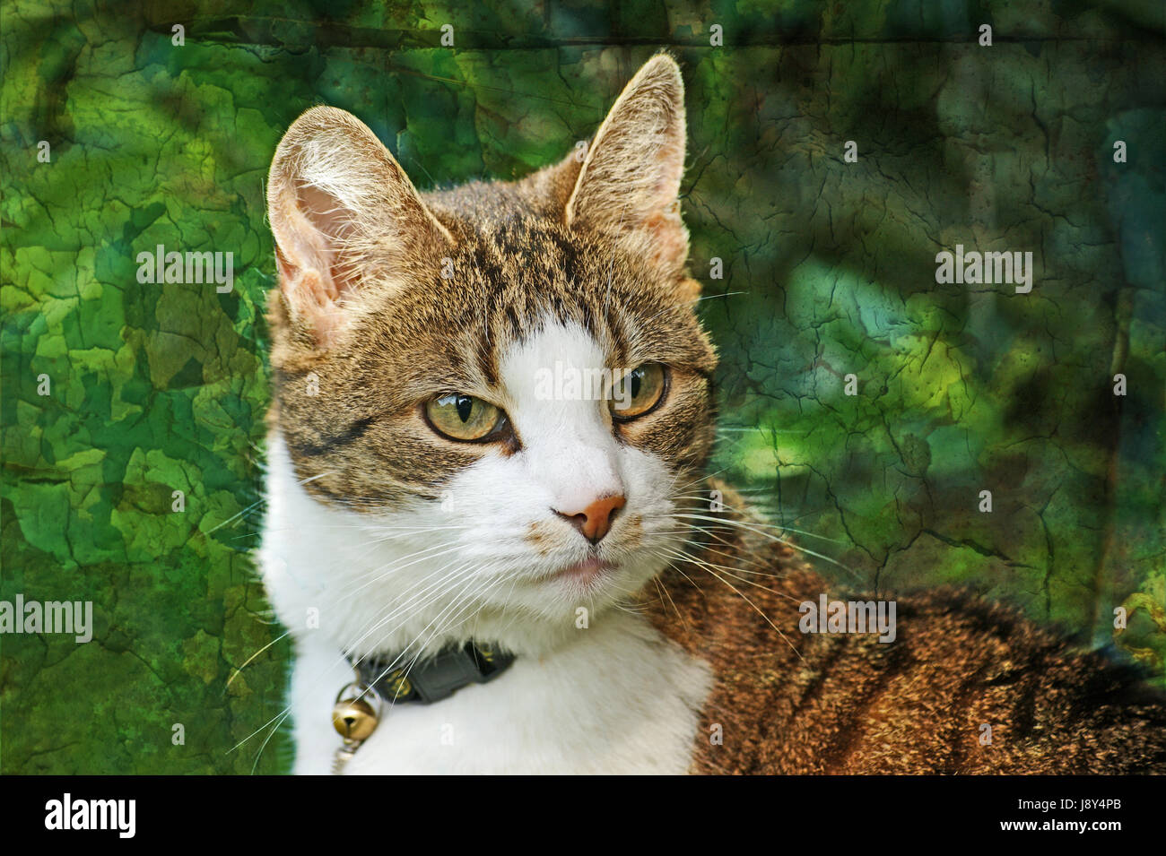 have a look Stock Photo - Alamy