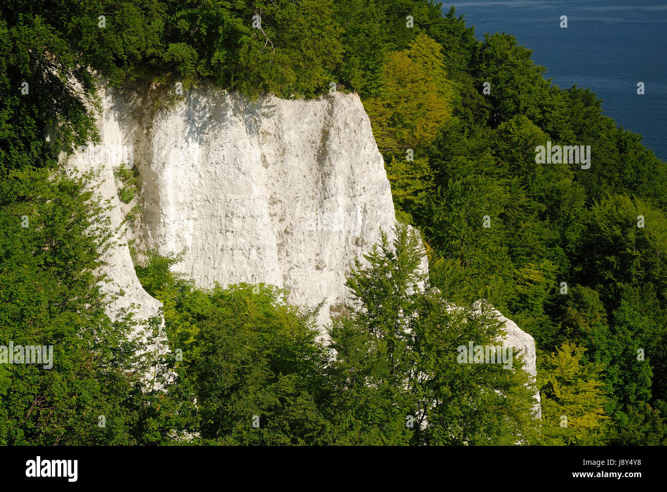 rock, water, baltic sea, salt water, sea, ocean, chalking rock, reprove ...