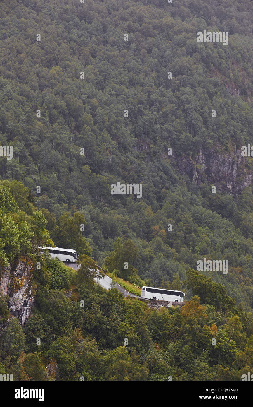 Norwegian mountain road with buses. Stalheim viewpoint. Visit Norway ...