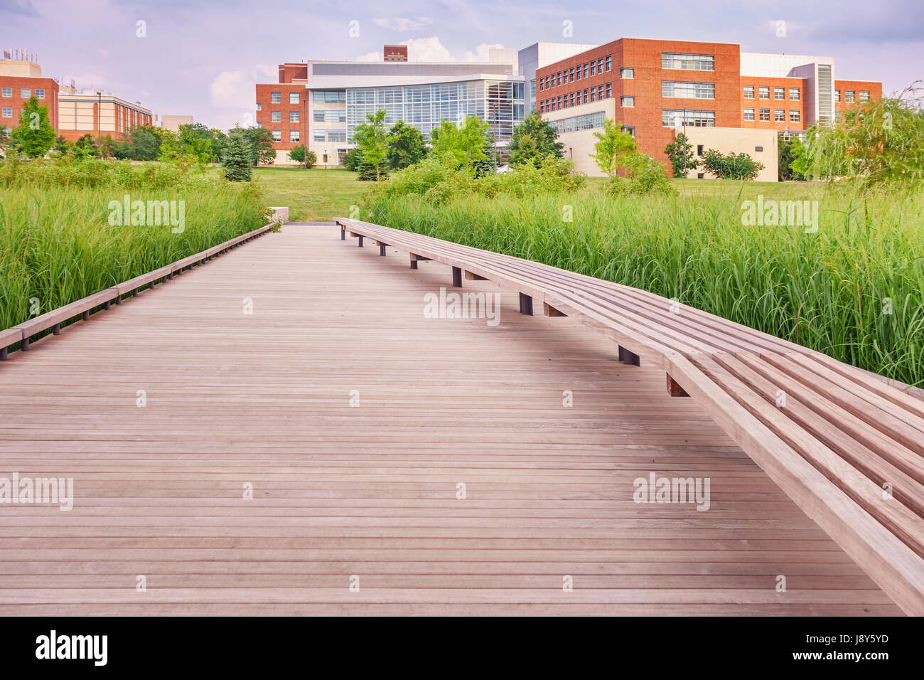 Path leading towards buildings at the Pennsylvania State University ...