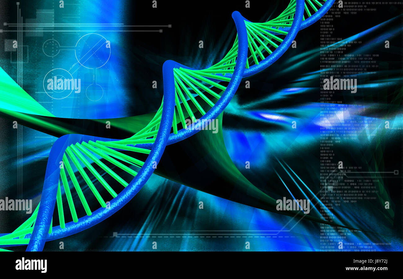 education, medicinally, medical, graphics, colour, science ...