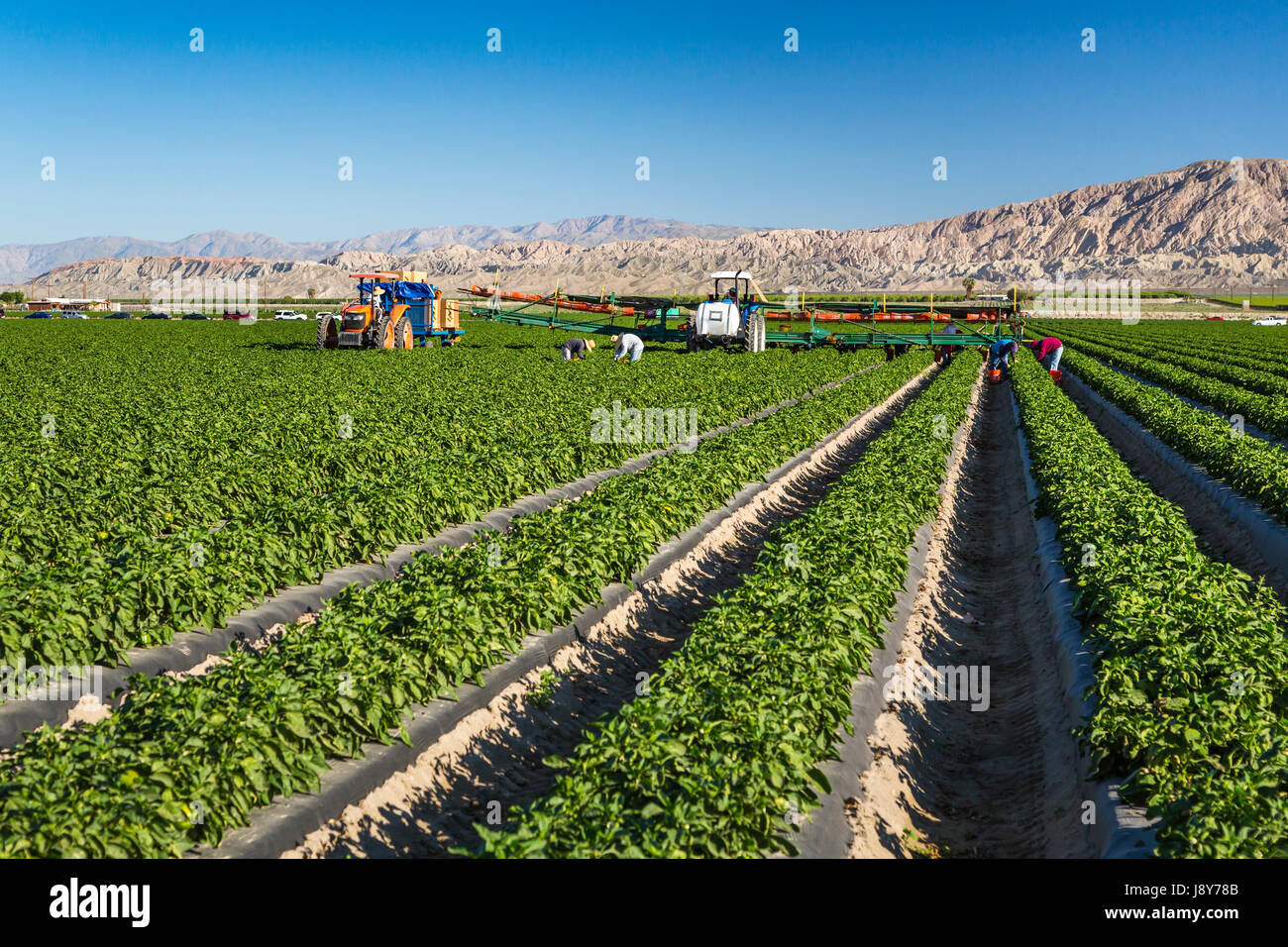 Row crop tractor hi-res stock photography and images - Alamy