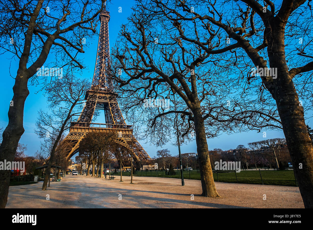 Eiffel Tower with spring tree in Paris, France Stock Photo - Alamy