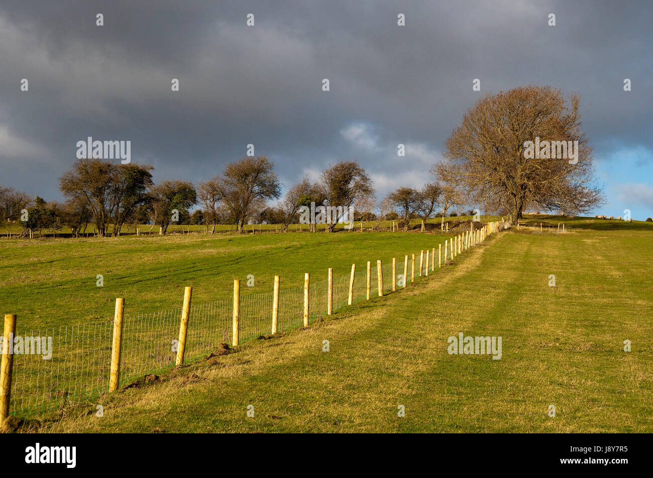 agriculture, farming, field, farm, landscape, scenery, countryside ...