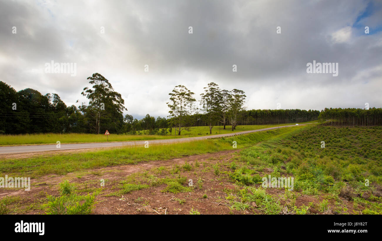 Swaziland Farm High Resolution Stock Photography and Images - Alamy