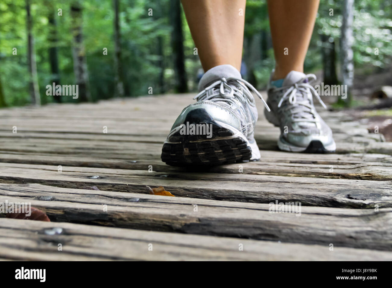 woman, humans, human beings, people, folk, persons, human, human being ...