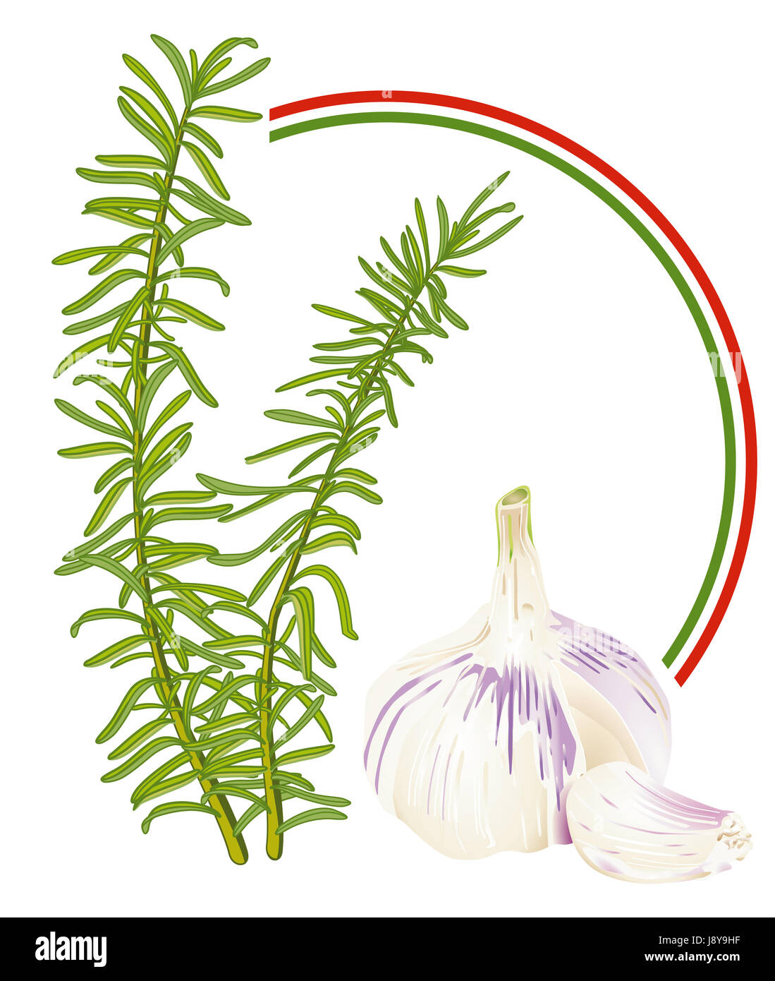 food, aliment, spice, garden, branch, aromatic, kitchen, cuisine, boil ...