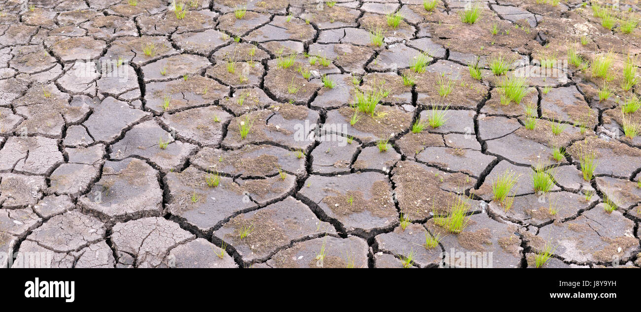 object, surface, textured, backdrop, background, environment ...