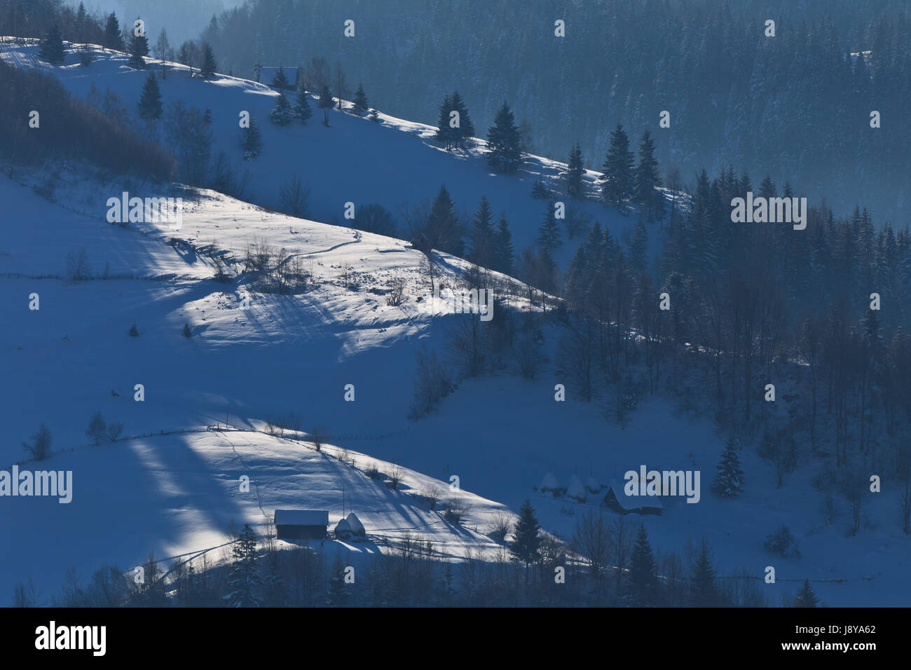 tree, hill, winter, snow, coke, cocaine, material, drug, anaesthetic ...