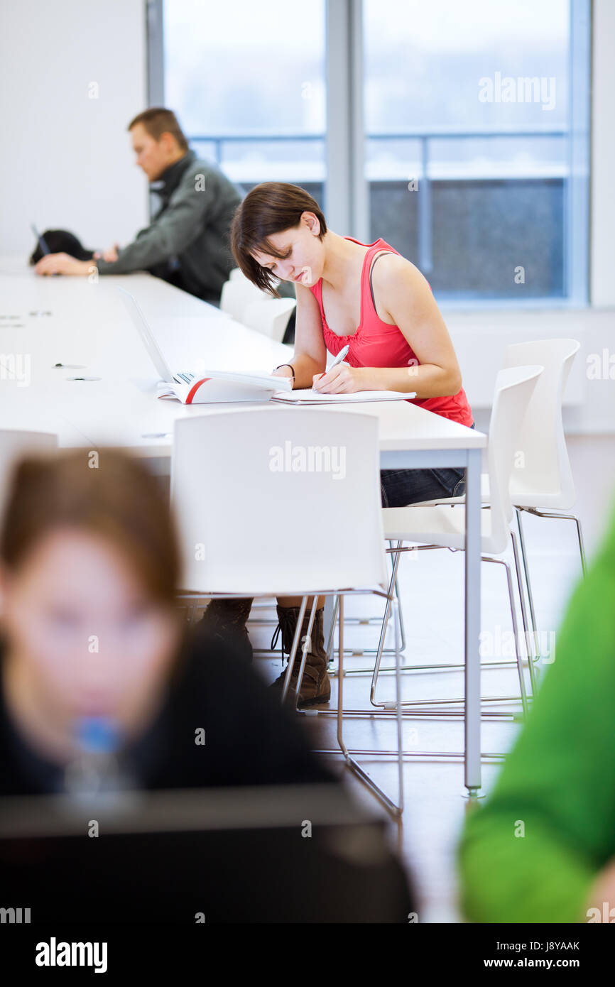 laptop, notebook, computers, computer, student, university, educational ...