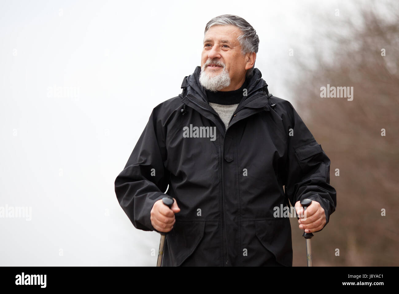 walk, go, going, walking, lifestyle, outdoor, activity, man, senior ...