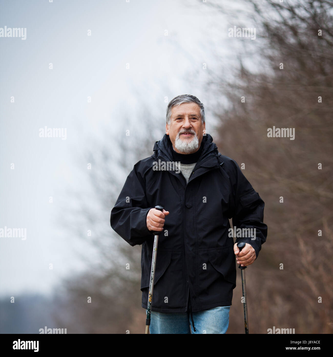 walk, go, going, walking, lifestyle, outdoor, activity, man, senior ...