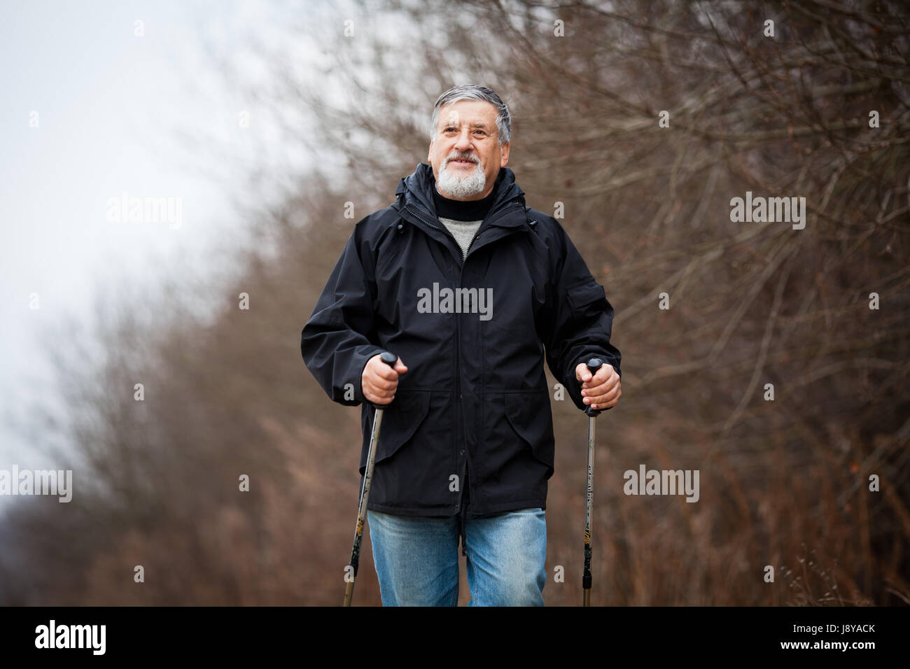 walk, go, going, walking, lifestyle, outdoor, activity, man, senior ...