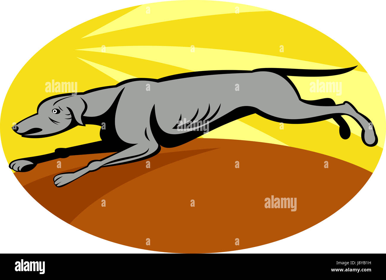 sport, sports, animal, pet, racing, dog, spring, bouncing, bounces, hop ...