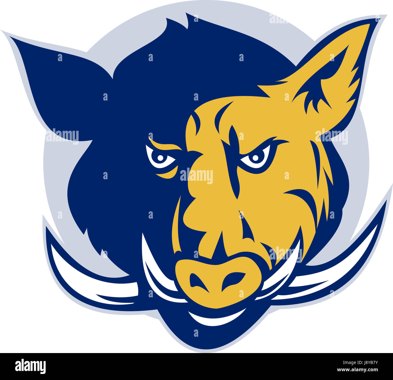 isolated, animal, wild, tusk, illustration, wildlife, boar, mascot, pig ...