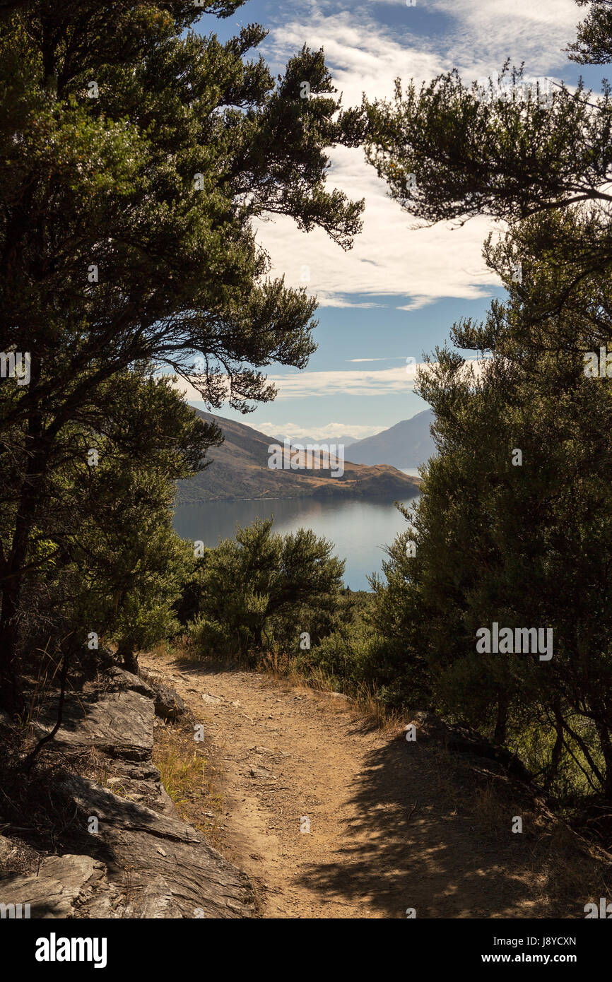 Mou waho island new zealand hi-res stock photography and images - Alamy